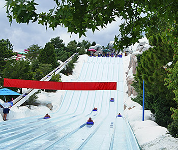 Toboggan Racer Photos